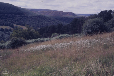 Penrhys Pilgrimage Way midsummer storytelling – LlandafPost.co.uk
