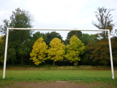 It looks like being a New England-style Fall in Cardiff – LlandafPost.co.uk